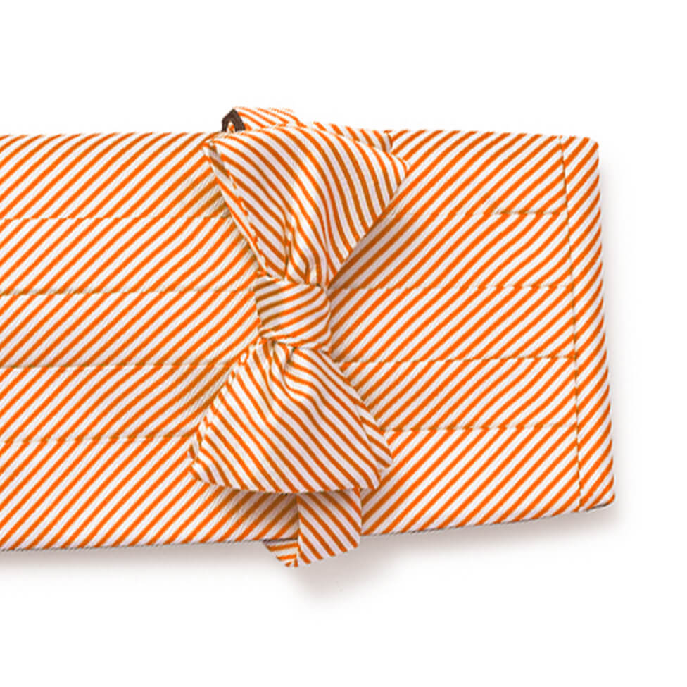 Signature Stripe: Cummerbund Set - Orange – Peter-Blair Accessories